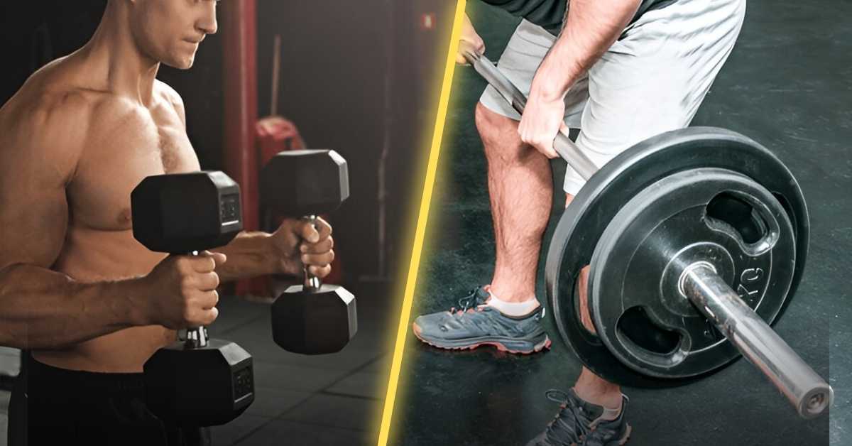 Reverse Curl vs. Hammer Curl: Which Bicep Exercise Wins? - Community ...