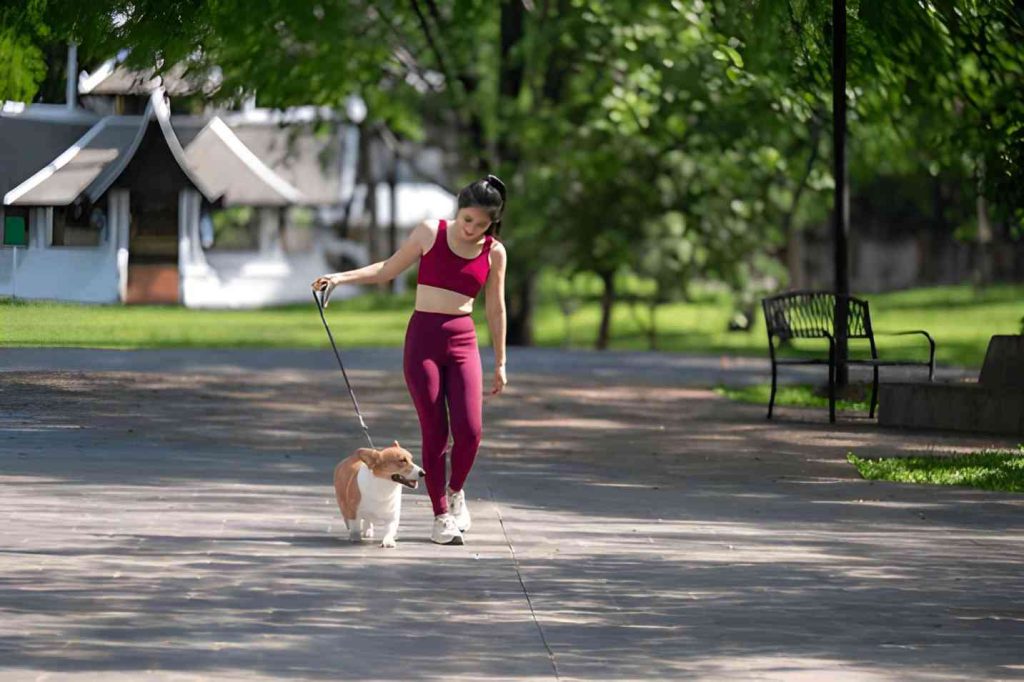 Dog-Friendly Fitness Activities in Austin - Community Strength Austin