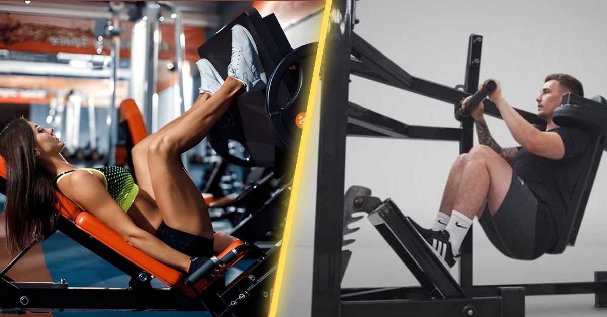 Pendulum Squat vs. Leg Press: The Ultimate Comparison for Leg Day Gains ...
